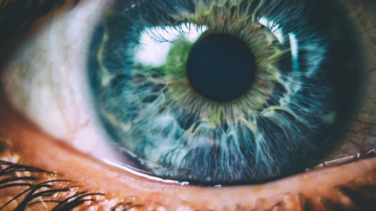 Anatomie de l’oeil - Optique Moitzheim